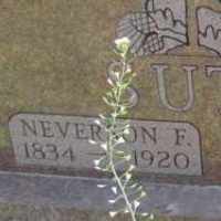 Neverson Francis Sutton (1834–1920)