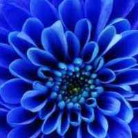 John Solomon Graham (1720–1780)