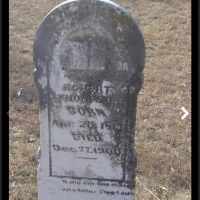 Robert Marion Thompson (1815–1900) • FamilySearch