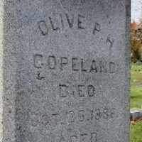 Olive Princess Henrietta Norton (1826–1886) • FamilySearch