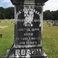 Moses Carthy Roach (1847–1899) • FamilySearch