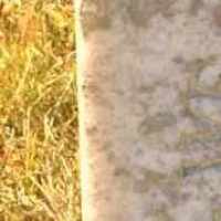 Dr. Wesley Blevins (1827–) • FamilySearch