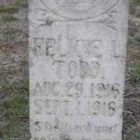 Felicie Lee Todd (1916–1916) • FamilySearch