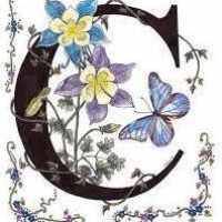 James C. Callicott (1705–1778) • FamilySearch