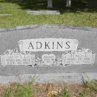 James Eli Adkins (1876–1968)