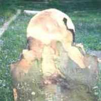 Mary Ann Lewis (1759–1801) • FamilySearch