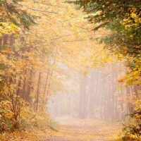 Samuel Lewis (1673–1738) • FamilySearch