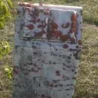 Jasper Newton Sumner (1834–1901) • FamilySearch