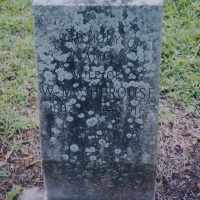 Nancy Susan Boyles (1842–1916) • FamilySearch