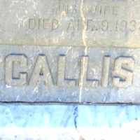 John William Callis (1867–1909) • FamilySearch