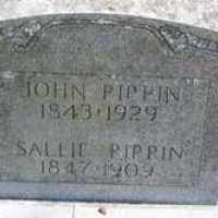 John Pippin (1843–1929)
