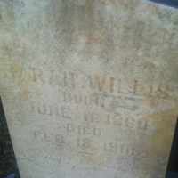 Sarah Willis (1860–1908) • FamilySearch