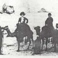 Alice Wayland Davis (1845–1939)