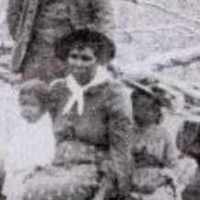 Martha Hibbs (1848–1926)