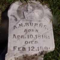 Albert Newton Burns (1818–1891)