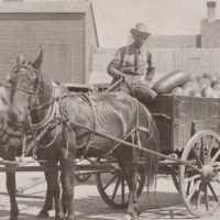 Herbert Eugene Esty (1872–1959)