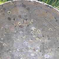 Elisabeth Greenleaf (1686–1718) • FamilySearch