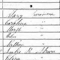 Nathan William Greenlee Swanson Sr (1826–1865) • FamilySearch