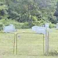 Martin N Roark (1800–1890) • FamilySearch