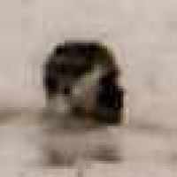 Haratua Aperahama Rogers (1910–1993)