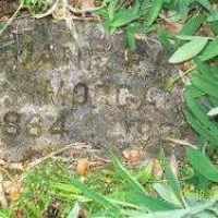 Jane Elizabeth Allen (1864–1922) • FamilySearch
