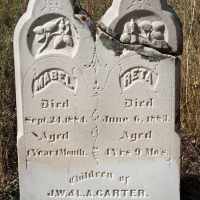 Lottie Mabel Carter (1883–1884) • FamilySearch