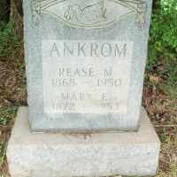 Reese Milroy Ankrom (1868–1950) • FamilySearch