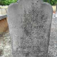 Nancy J. Stephens (1845–1898) • FamilySearch