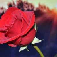 Christopher Capstick (1759–1841)