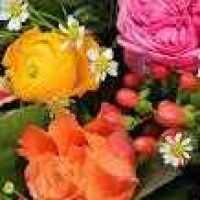 Annie Harriet Cheek (1851–1891) • FamilySearch