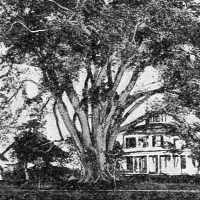 Samuel Belden (1632–1713)