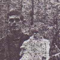 William Bradford Alcorn (1883–1966) • FamilySearch