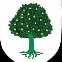 High King Toirdelbach Mór Ua Conchobair of Ireland (1088–1156)