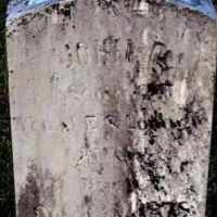 John G Allen (1878–1891) • FamilySearch