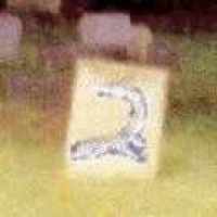 Elizabeth Abbott (1753–1841)