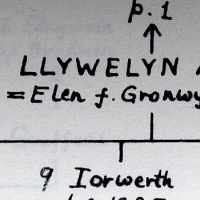 Llywelyn ap Tudor (1255–1343)