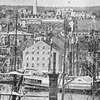 Martha Mary Collins (1732–1815)