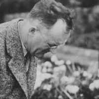 William Frederick Gericke (1882–1970)