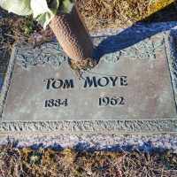 Thomas “Tom” Moye (1883–1962) • FamilySearch