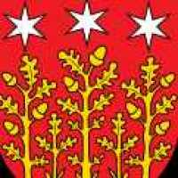 Jung Hannss Falter (1612–1681)