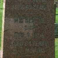 William Beattie (1821–1905) • FamilySearch