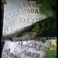 Peter Strausbaugh (1790–1870)