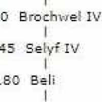 Selyf IV ap Brochwel IV of Guilsfield (1145–)