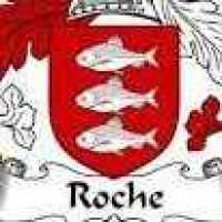 Lord David Fitzmaurice De La Roche (1400–1488)