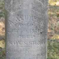 Andrew Jackson Cummins (1818–1898)