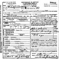 Sarah Ellen Hoback (1860–1936) • FamilySearch