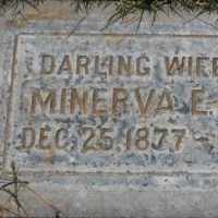 Minerva Emaline Taylor (1877–1966)