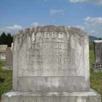 John Pinkney Wood (1849–1932)