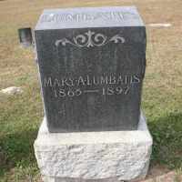 Mary Alice Colvin (1865–1897) • FamilySearch