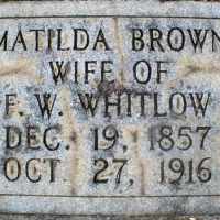 Sarah Matilda Brown (1857–1916) • FamilySearch